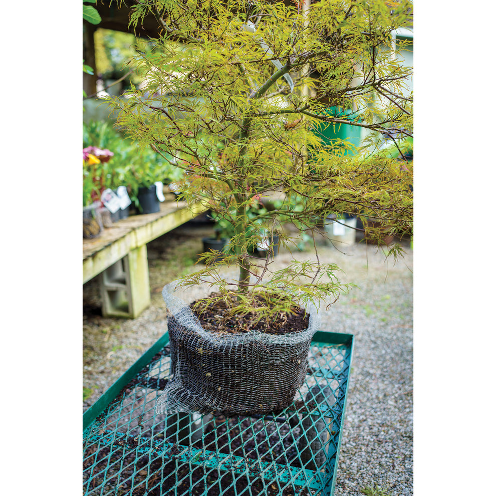 15 gallon Vole Basket (pack of 1 basket) | Vole King