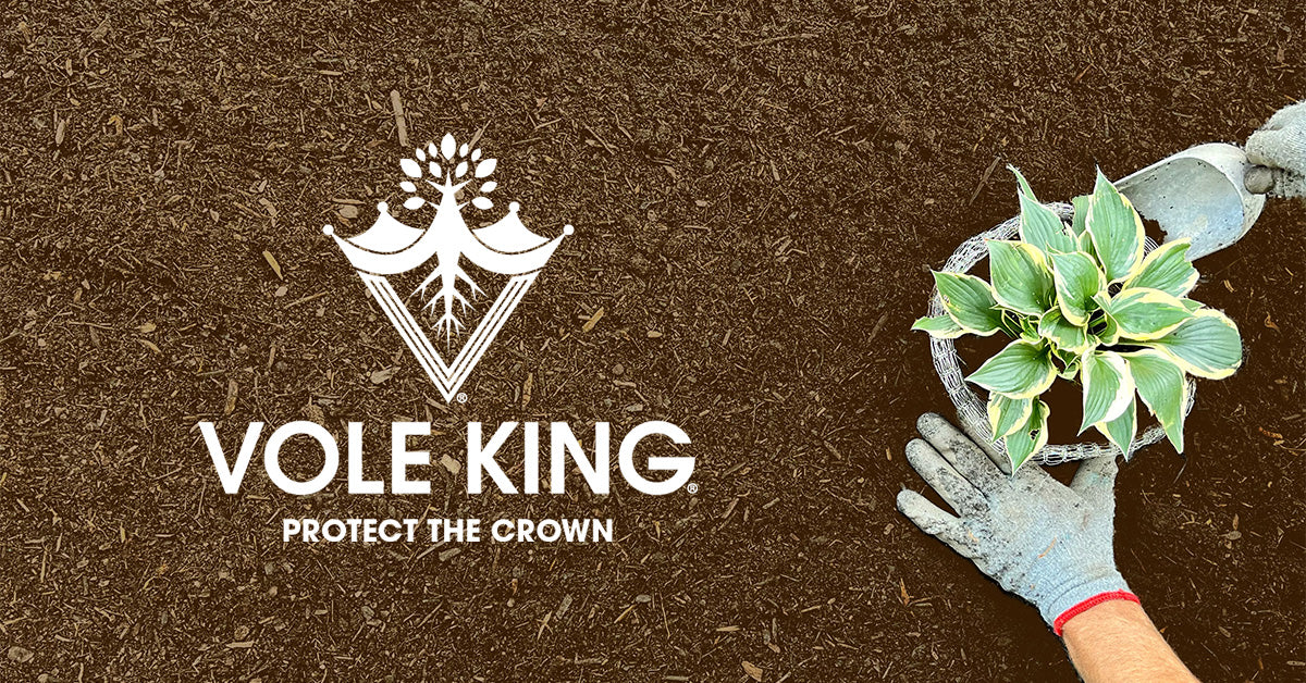 VOLE KING® | Protect Your Plants From Voles and Gophers